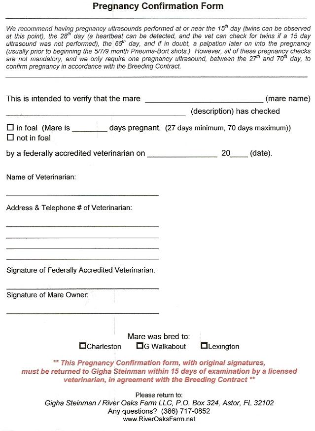 Cat Pregnancy Week By Week Pictures Doctor Pregnancy Confirmation Form